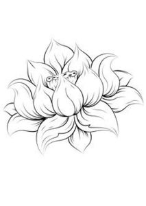 Bộ tranh tô màu hoa sen cực đẹp và dễ phối màu cho bé