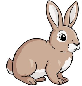 Tổng hợp 20+ cách vẽ con thỏ đơn giản cho người mới bắt đầu